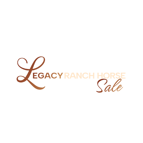 K4 Ranches - Quality Quarter Horses & Premium Beef