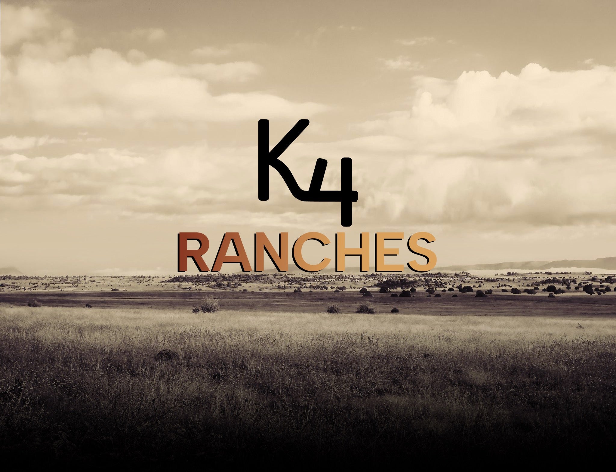 K4 Ranches - Quality Quarter Horses & Premium Beef